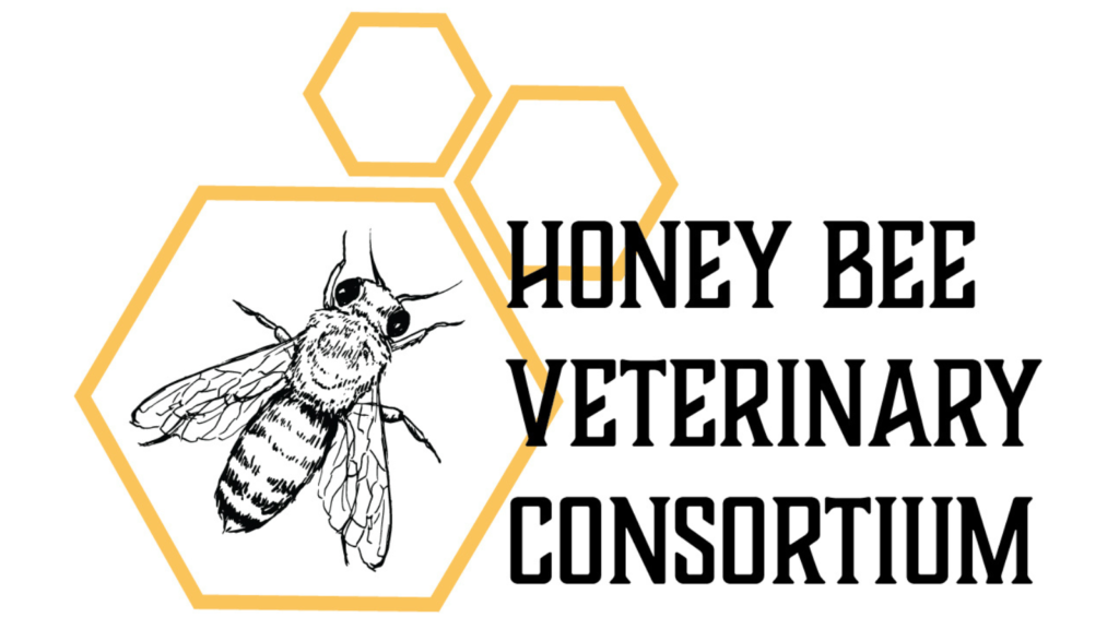 Honey Bee Veterinary Consortium Annual Conference (Virtual) | College ...
