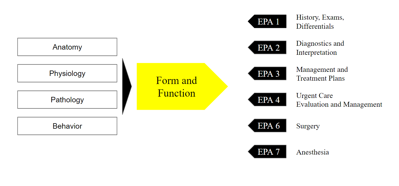 Form & Function (FF) | College of Veterinary Medicine