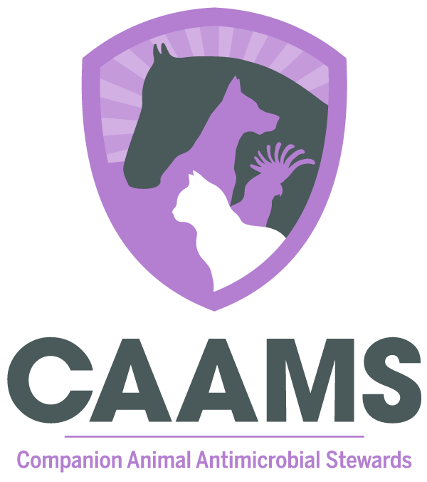 2025 Companion Animal Antimicrobial Stewardship Workshop | College of ...